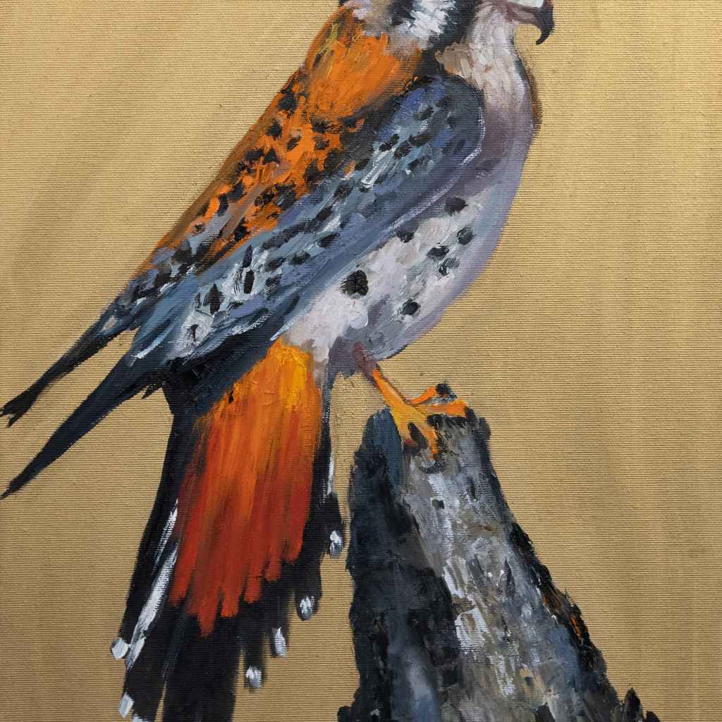 Falcon | Oil Painting | Artezaar.com Online Art Gallery Dubai
