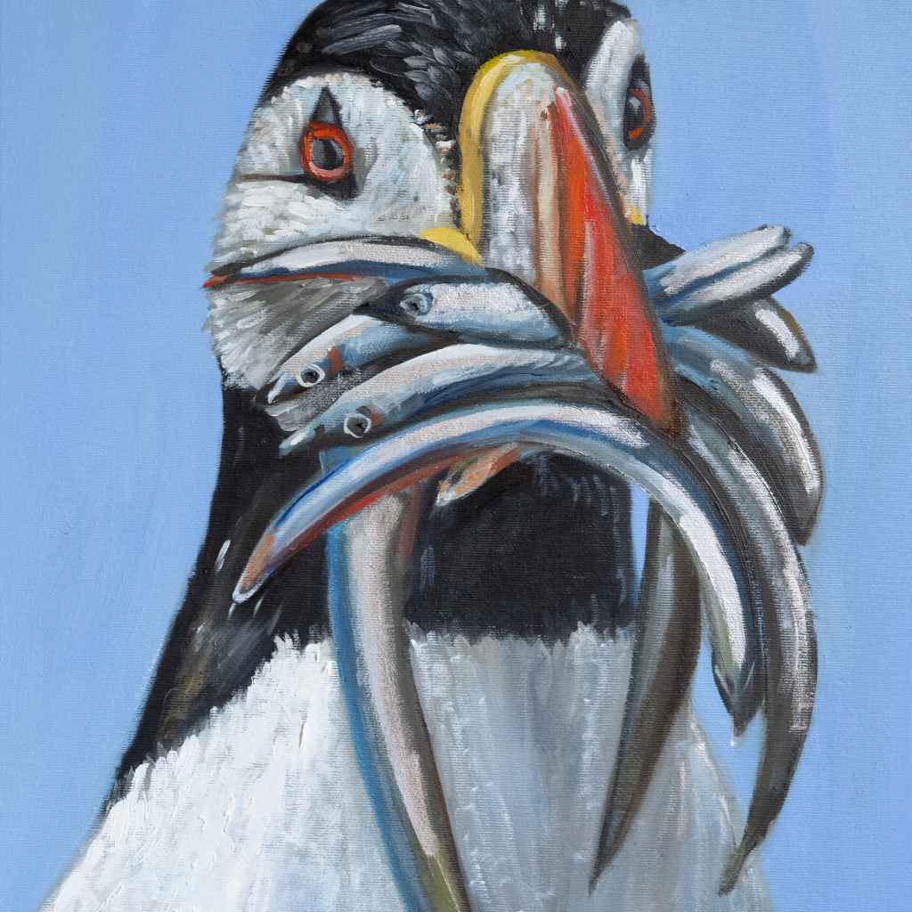 Puffins Bird Oil Painting | Artezaar.com Online Art Gallery Dubai